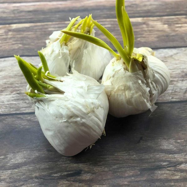 Ninja Foodi Roasted Garlic - The Salted Pepper
