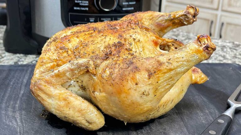 Ninja Foodi Whole Chicken ~ 4 Cooking Techniques - The Salted Pepper