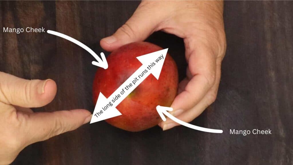 Easy Mango Sauce - The Salted Pepper