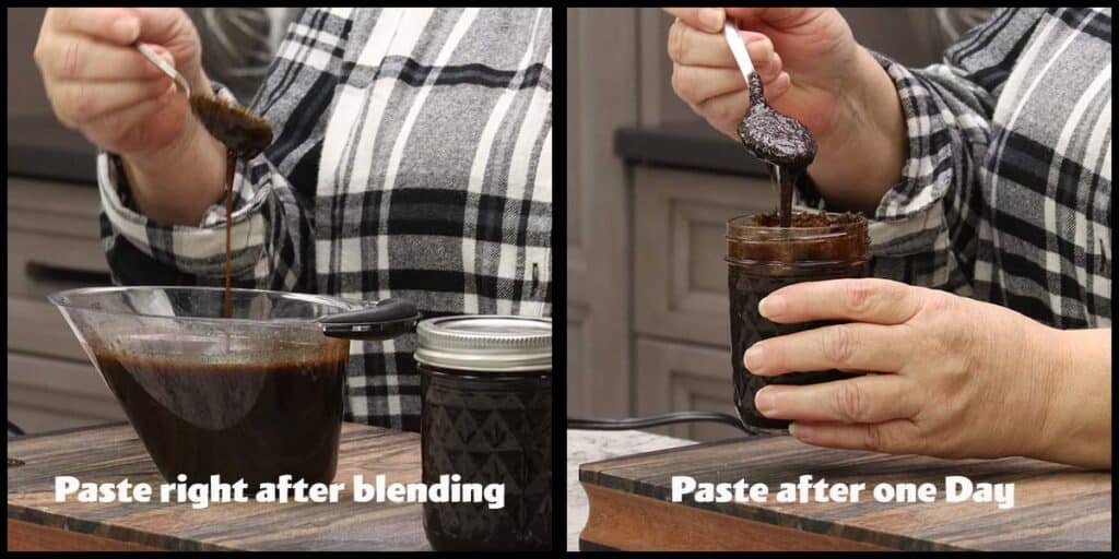 Homemade Vanilla Bean Paste - The Salted Pepper