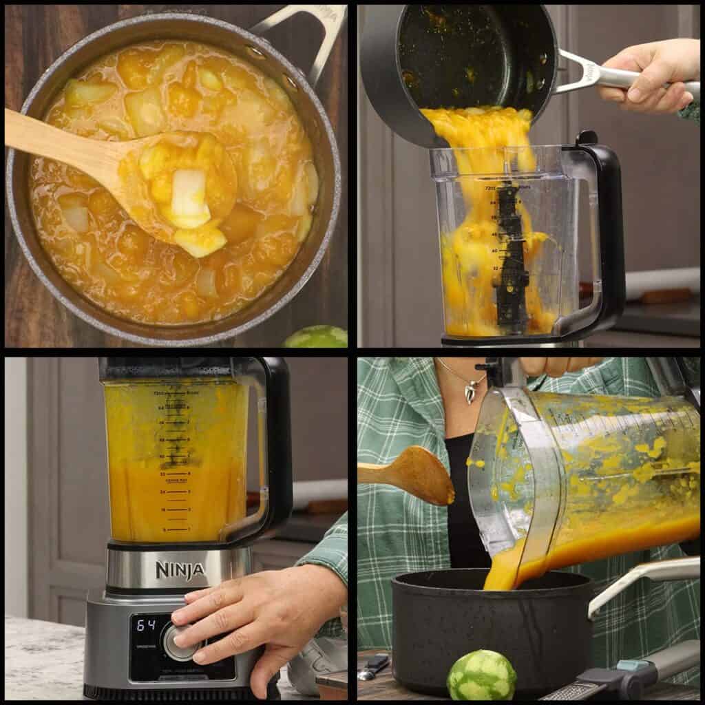 Easy Mango Sauce - The Salted Pepper