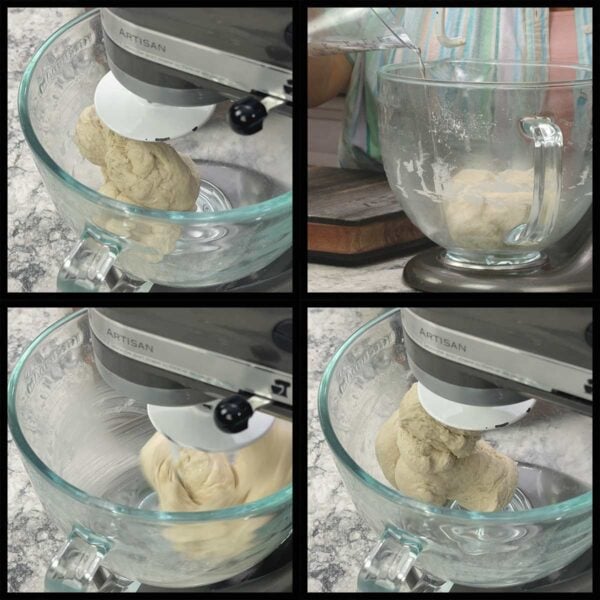 Homemade Italian Bread (Ninja Combi or Oven Instructions) - The Salted ...